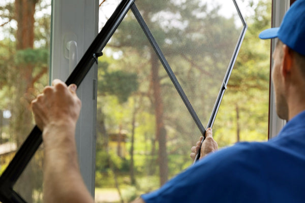 How To Get Rid of Mosquitoes Inside the House - MosquitoNix®