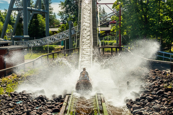 Why You Won't Notice Mosquitos at Disney World - MosquitoNix®