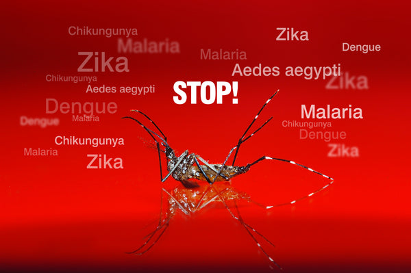What is a Vector Borne Disease? - MosquitoNix®