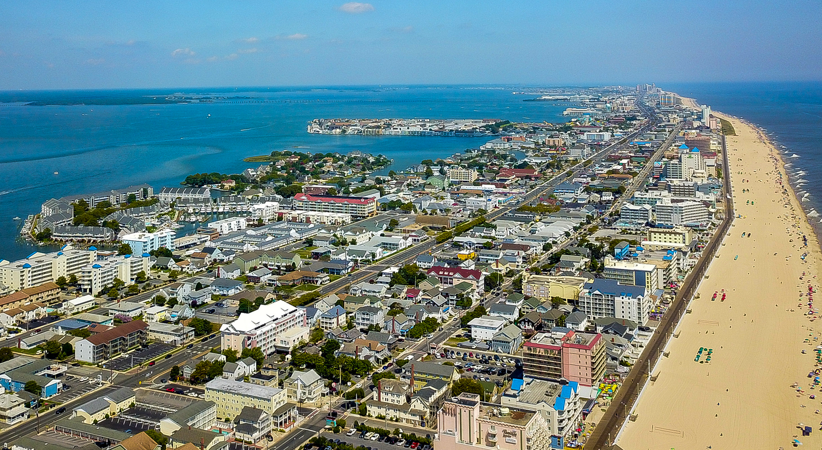 Eastern Shore's Premier, Safe, Non-Toxic Mosquito Control Solution ...