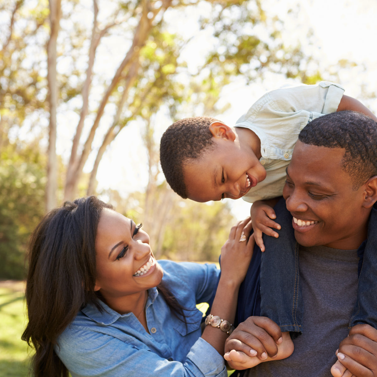 MosquitoNix® Services - MosquitoNix® Outdoor Misting Systems